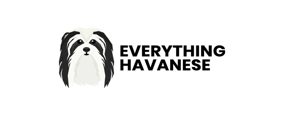 Texas Havanese Near You - Part of the Everything Havanese Network